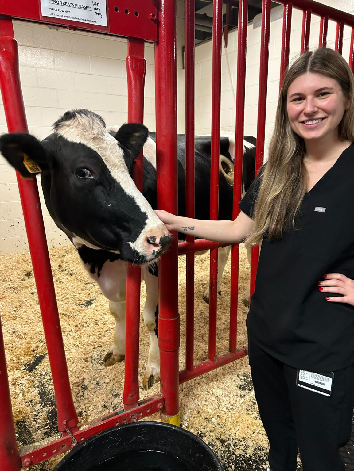 Veterinary Clinical Pharmacy Practice Residency Program - UW Veterinary ...